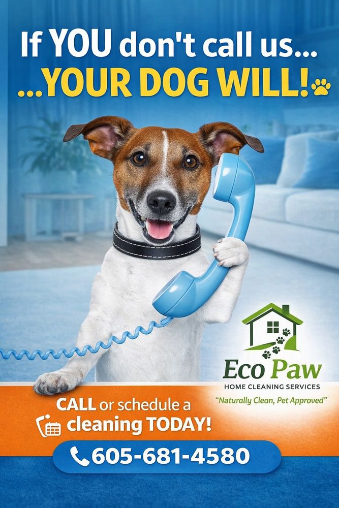 13 Catchy House Cleaning Ad Ideas With Templates to Inspire You