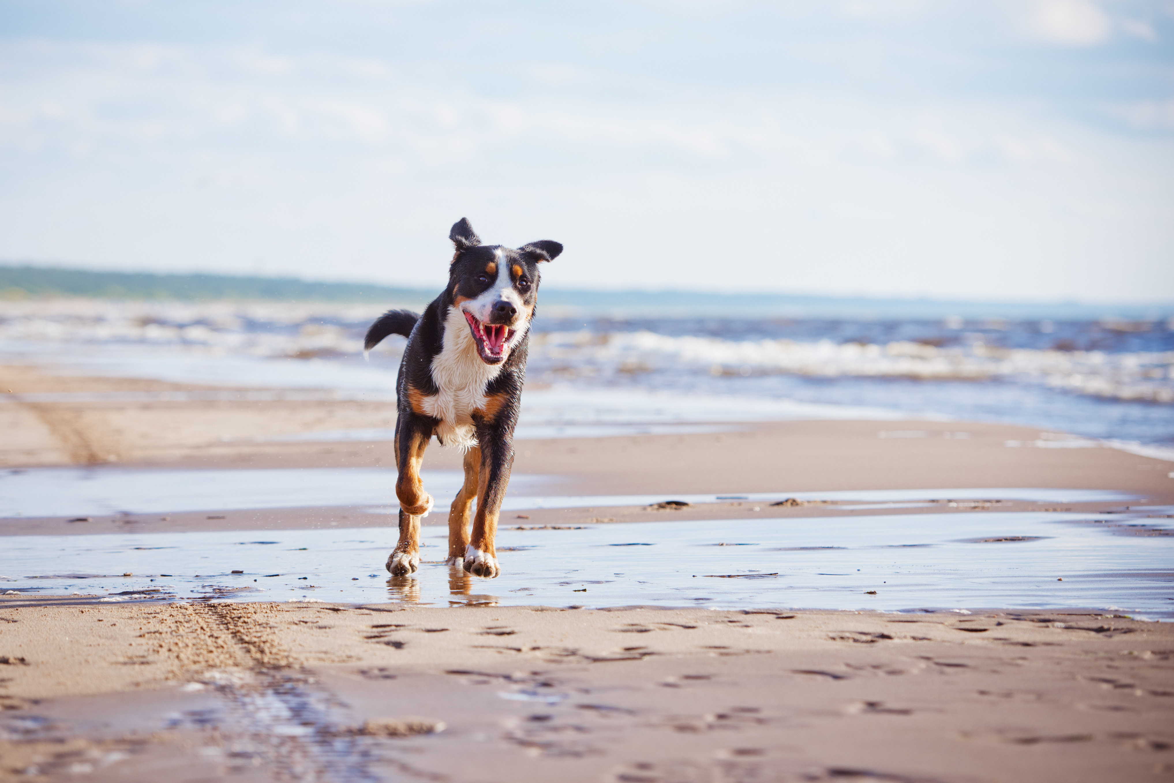 How to Use Google ‘Near Me’ Searches to Your Advantage﻿