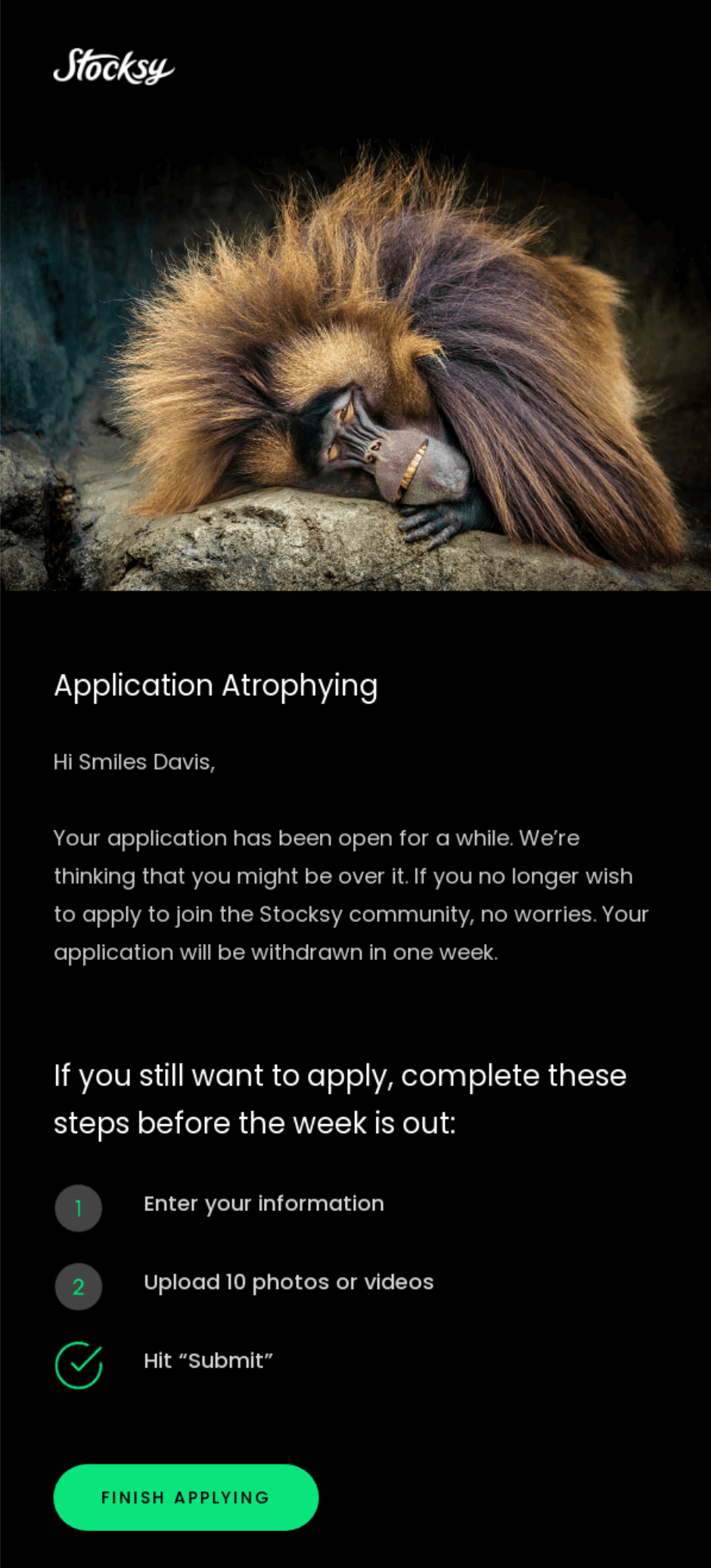 8 Retail Email Examples You Can Use | Constant Contact