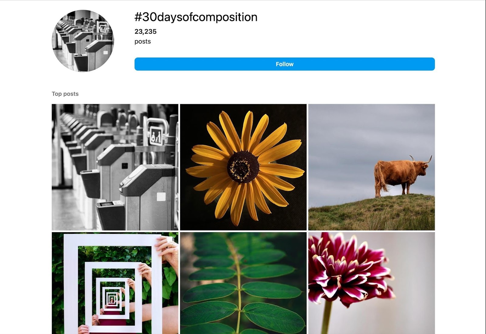 How to Run an Instagram Photo Challenge and Build Brand Awareness ...