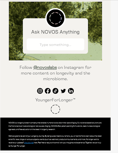 Top Design Tips and Practices for Email Footers