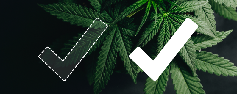 Express vs. Implied Consent in Cannabis Email | Constant Contact